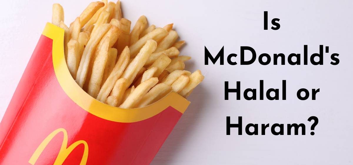 Mcdonalds Halal Menu You Need To Try Today Mcdonalds Menus